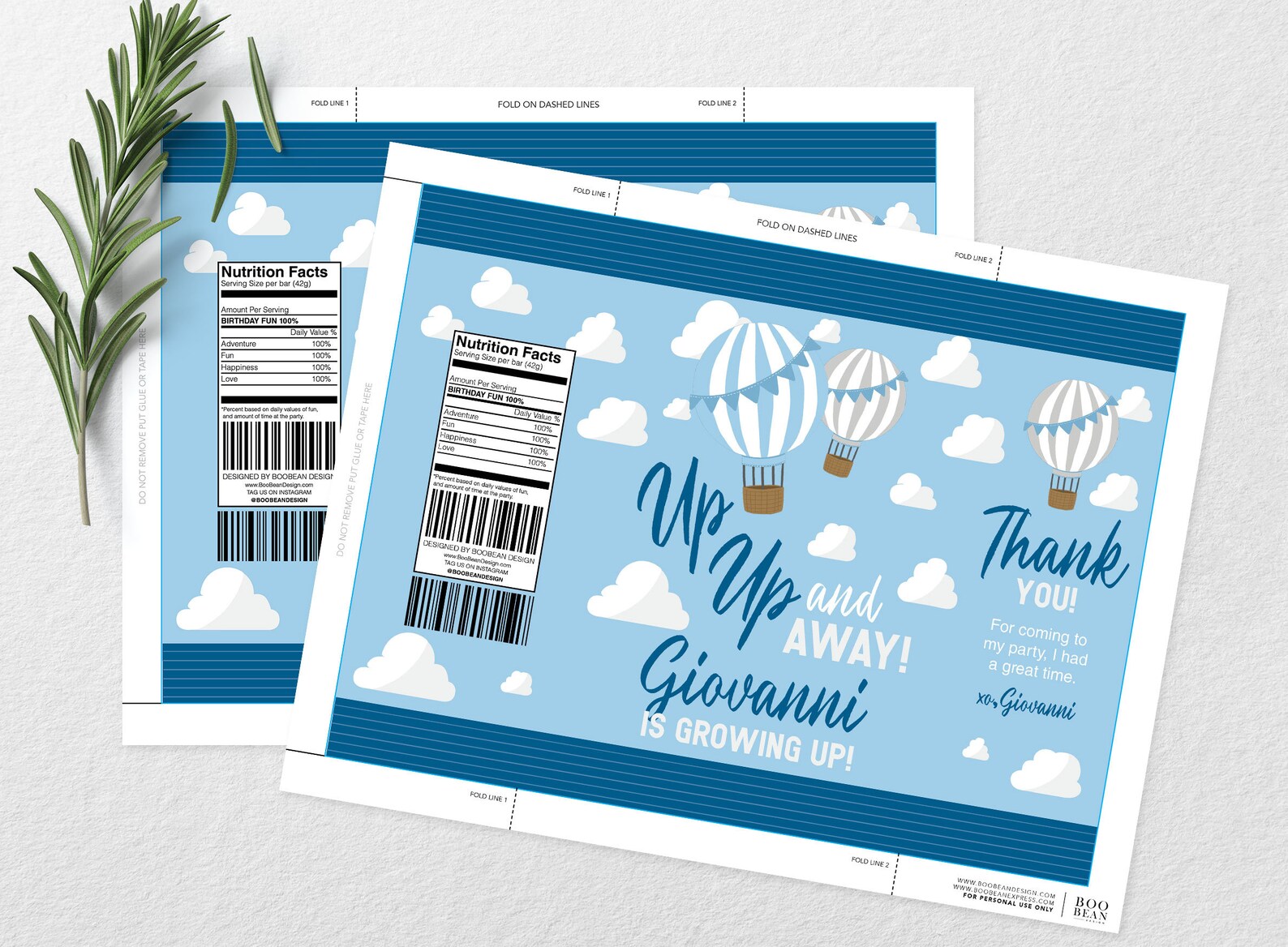 Hot Air Balloon Chip Bag Balloon Chip Bag Hot Air Balloon | Etsy