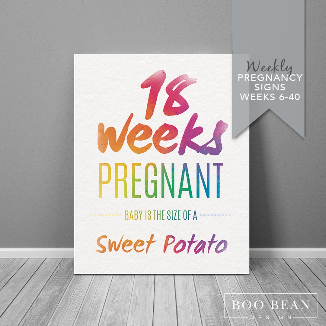 Pregnancy Week by Week Gender Neutral Rainbow| Instant Download ...