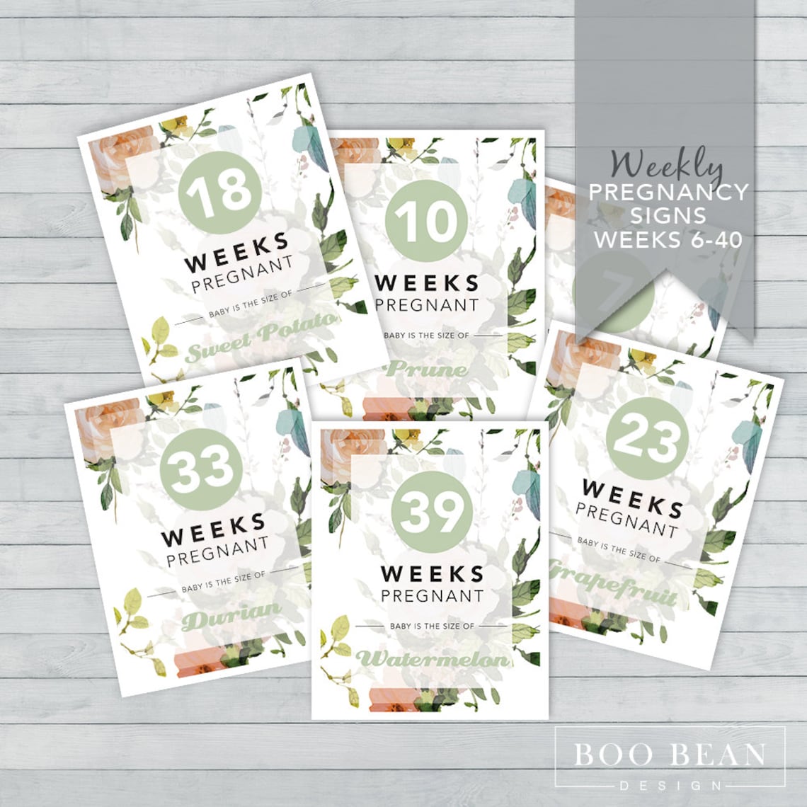 Pregnancy Week by Week Gender Neutral Instant Download | Etsy