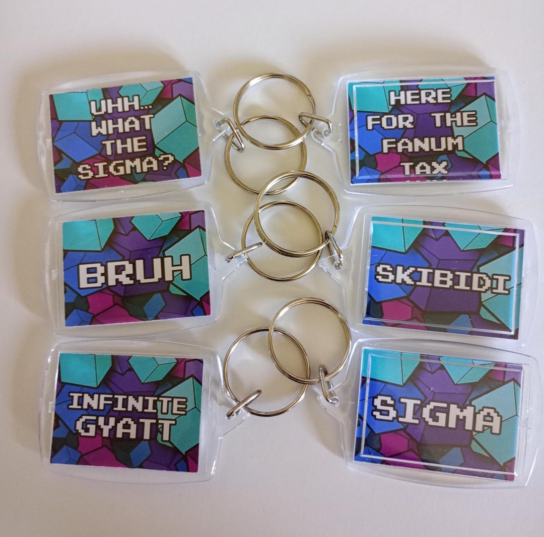 Meme Inspired Keyring, Gift for Teens, Gaming Inspired, Skibidi, What ...