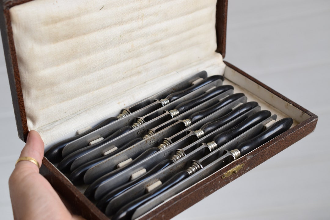 Set of 12 Antique/ Vintage French Boxed Table Knives knife,véritable ...