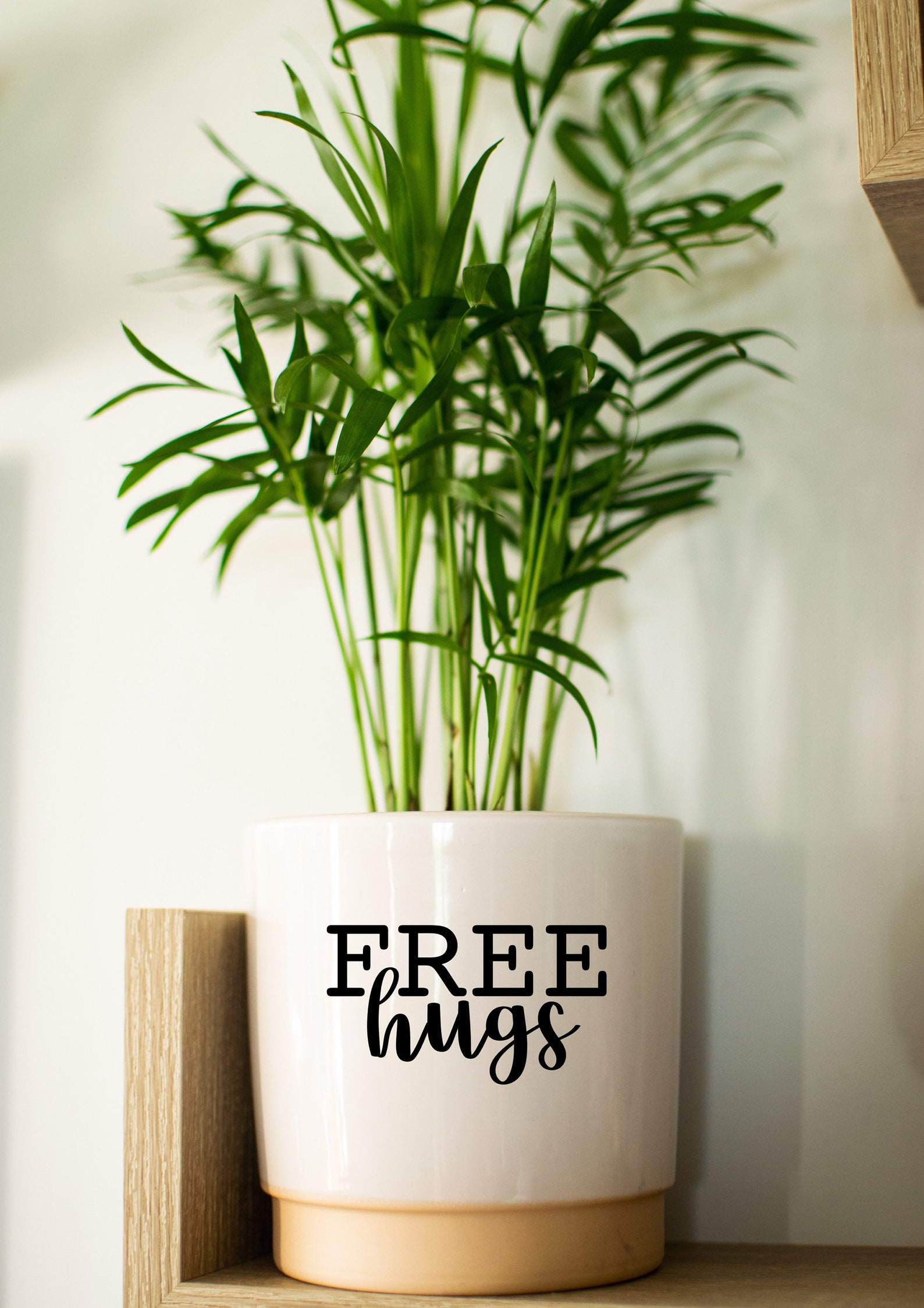 Plant Pot Stickers Labels Plants Decal Vinyl Sticker - Etsy