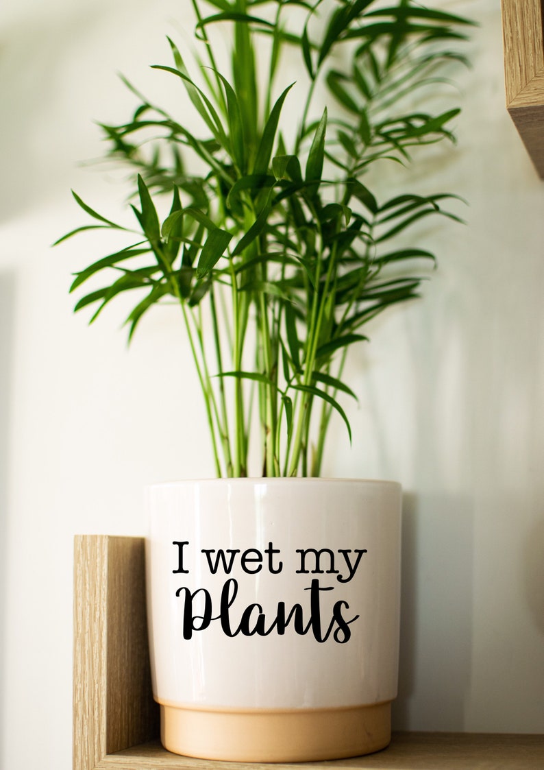 Plant Pot Stickers Labels Plants Decal Vinyl Sticker - Etsy