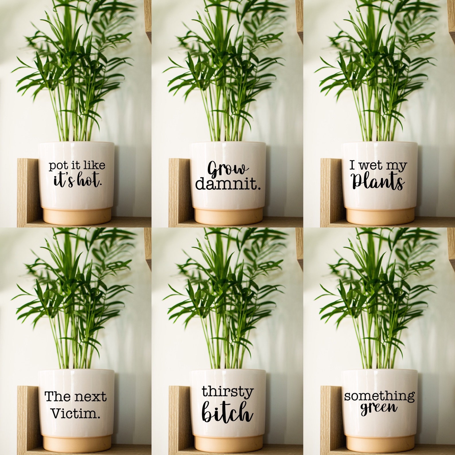 Plant Pot Stickers Labels Plants Decal Vinyl Sticker - Etsy