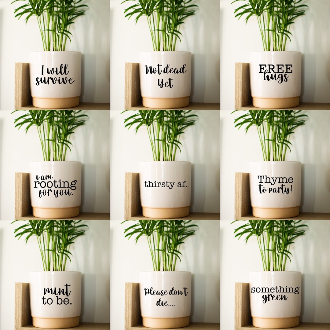 Plant Pot Stickers | Labels | Plants | Decal | Vinyl Sticker | Funny ...