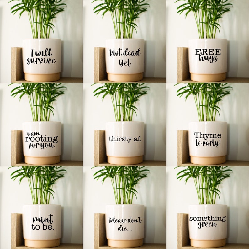Plant Pot Stickers Labels Plants Decal Vinyl Sticker - Etsy