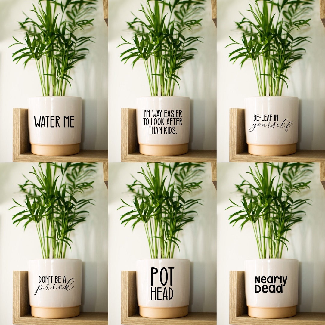Plant Pot Stickers Labels Plants Decal Vinyl Sticker - Etsy