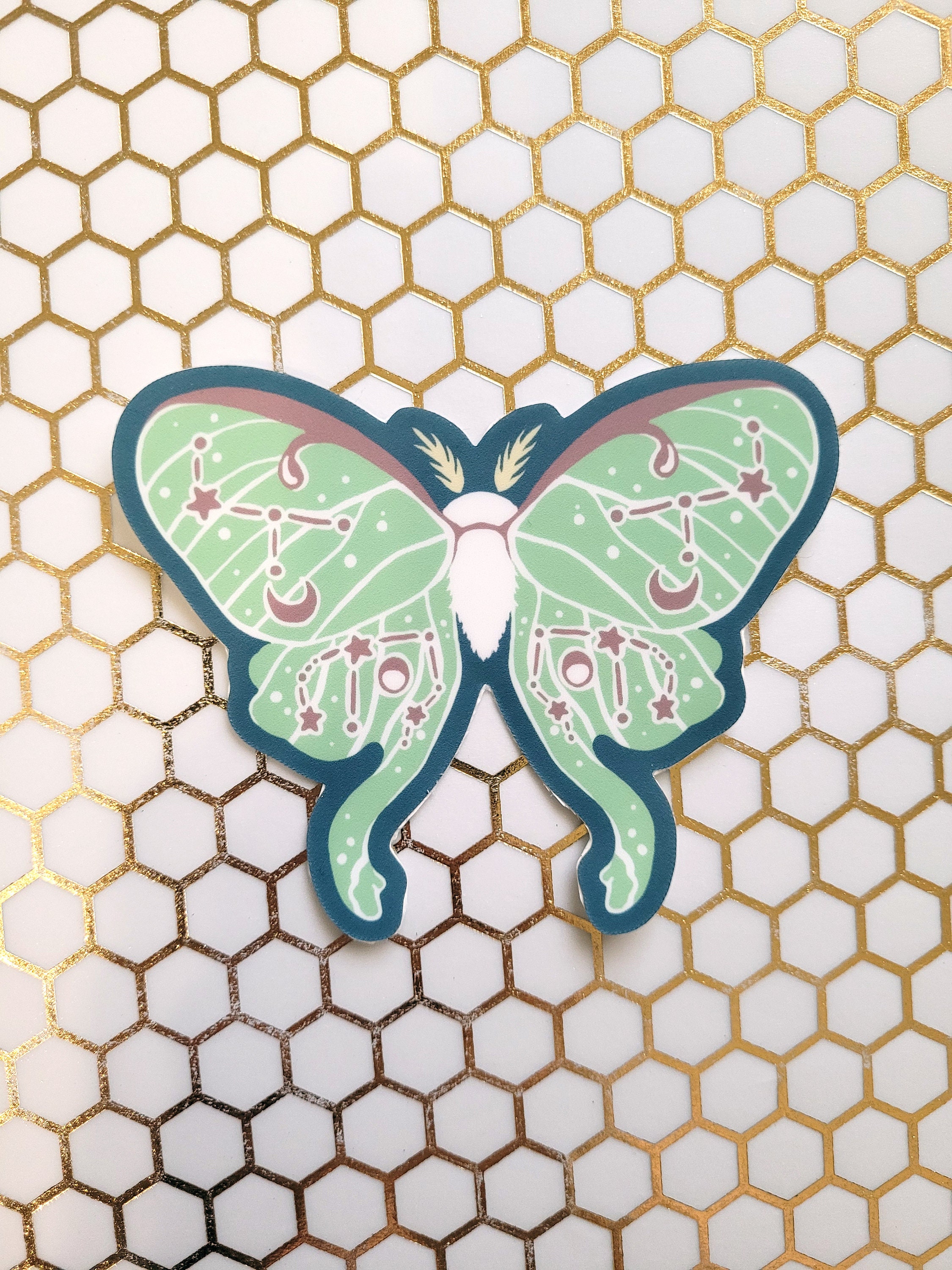 Celestial Insect Stickers Moths Beetles and Bess - Etsy