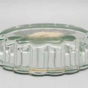 1970's Primrose Glass Paperweight Real Dried Primrose Glass With ...
