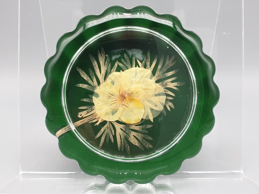 1970's Primrose Glass Paperweight Real Dried Primrose Glass With ...
