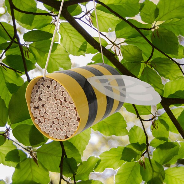 Bee Craft Kit for Kids - Etsy