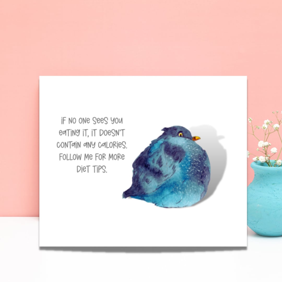 Funny Diet Tips Note Cards: Fat Bird, Cat, Fish, Sheep - Set of 4 - Etsy