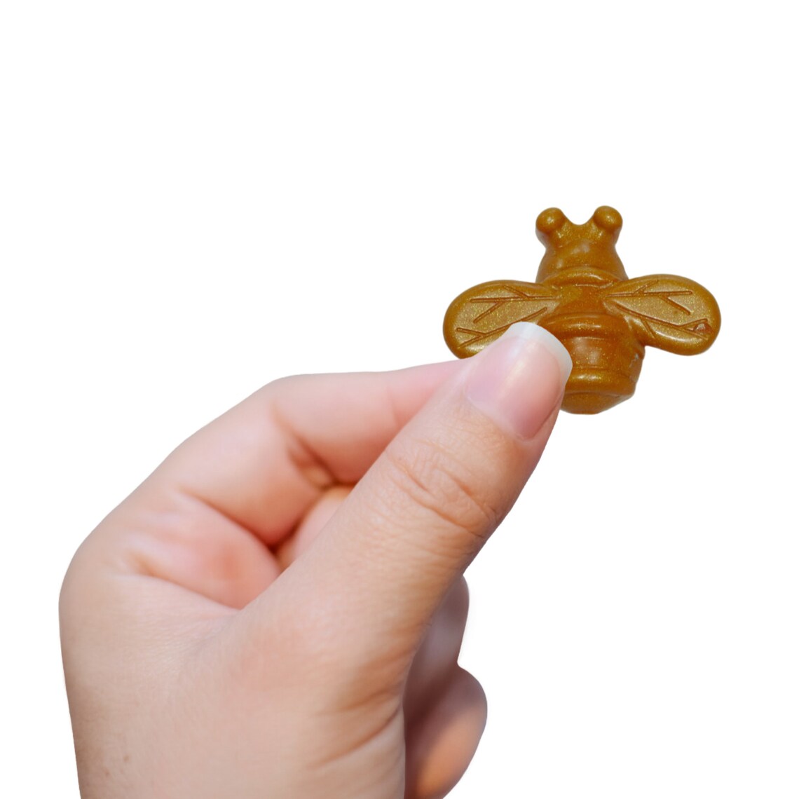 Crayons, Metallic Insect Crayons, Butterfly, Ladybug, Bee - Etsy