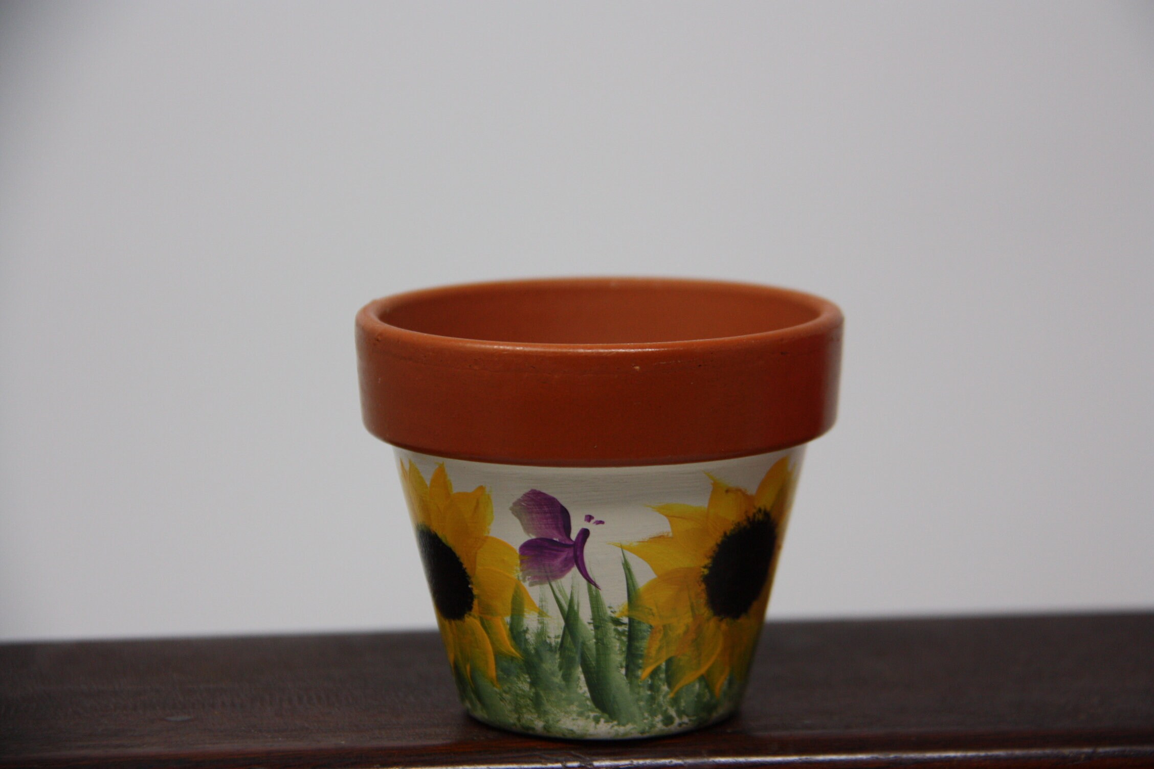 Mini Hand painted Flower Pots succulent pot flower pot party | Etsy