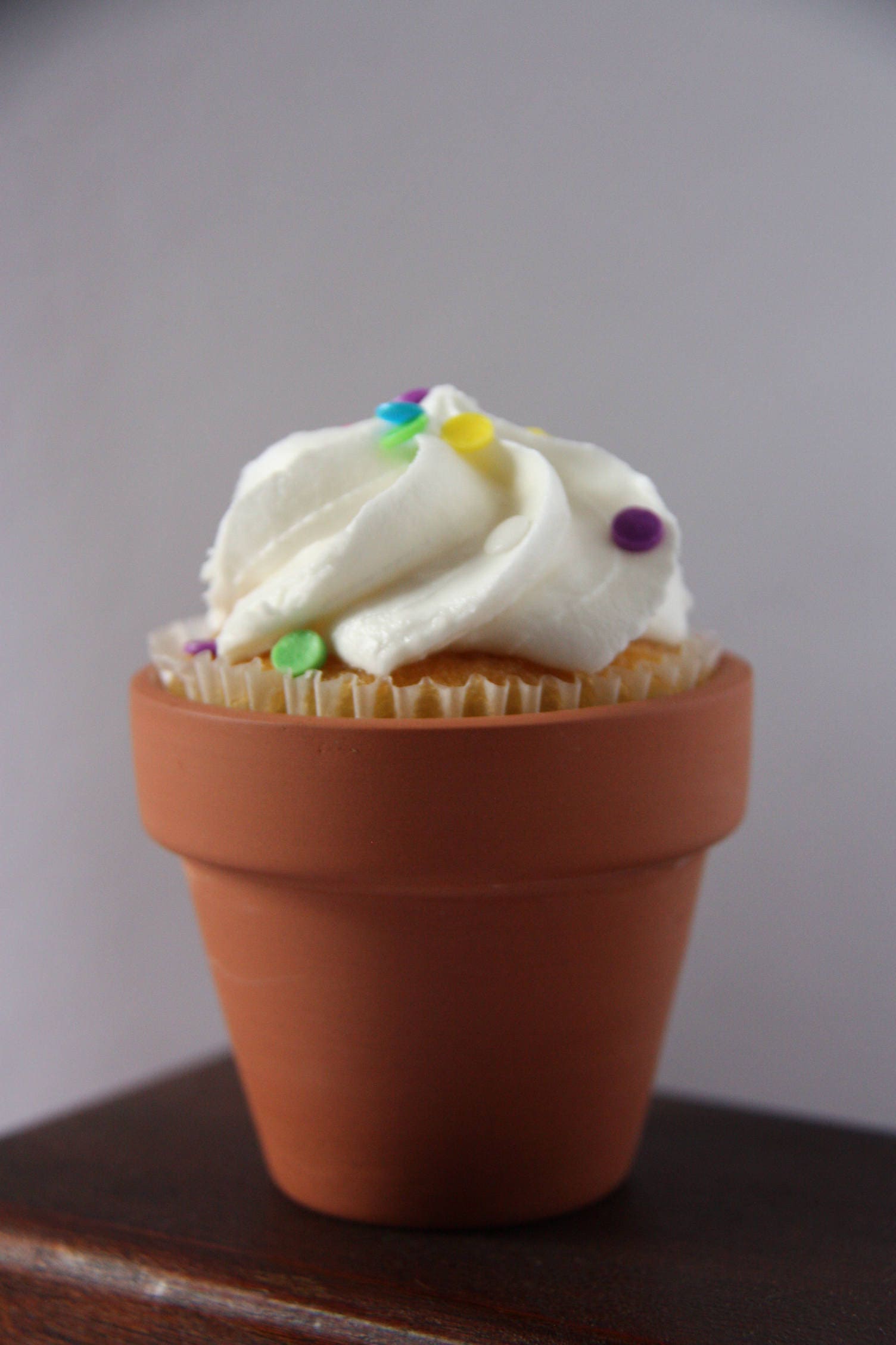 Mini Hand painted Flower Pots succulent pot flower pot party | Etsy