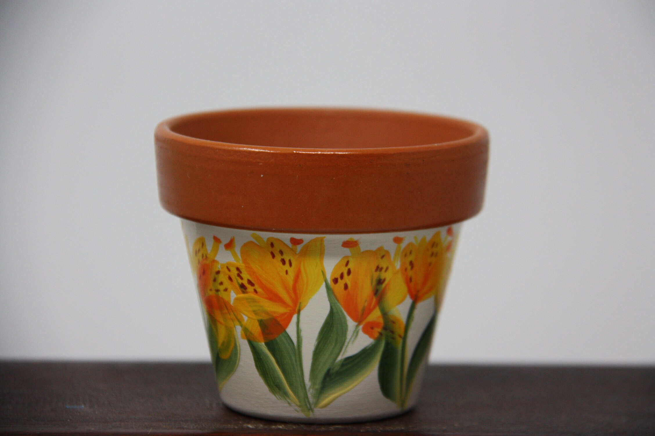 Mini Hand Painted Flower Pots Succulent Pot Flower Pot Party - Etsy