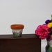 Mini Hand Painted Flower Pots Succulent Pot Flower Pot Party - Etsy