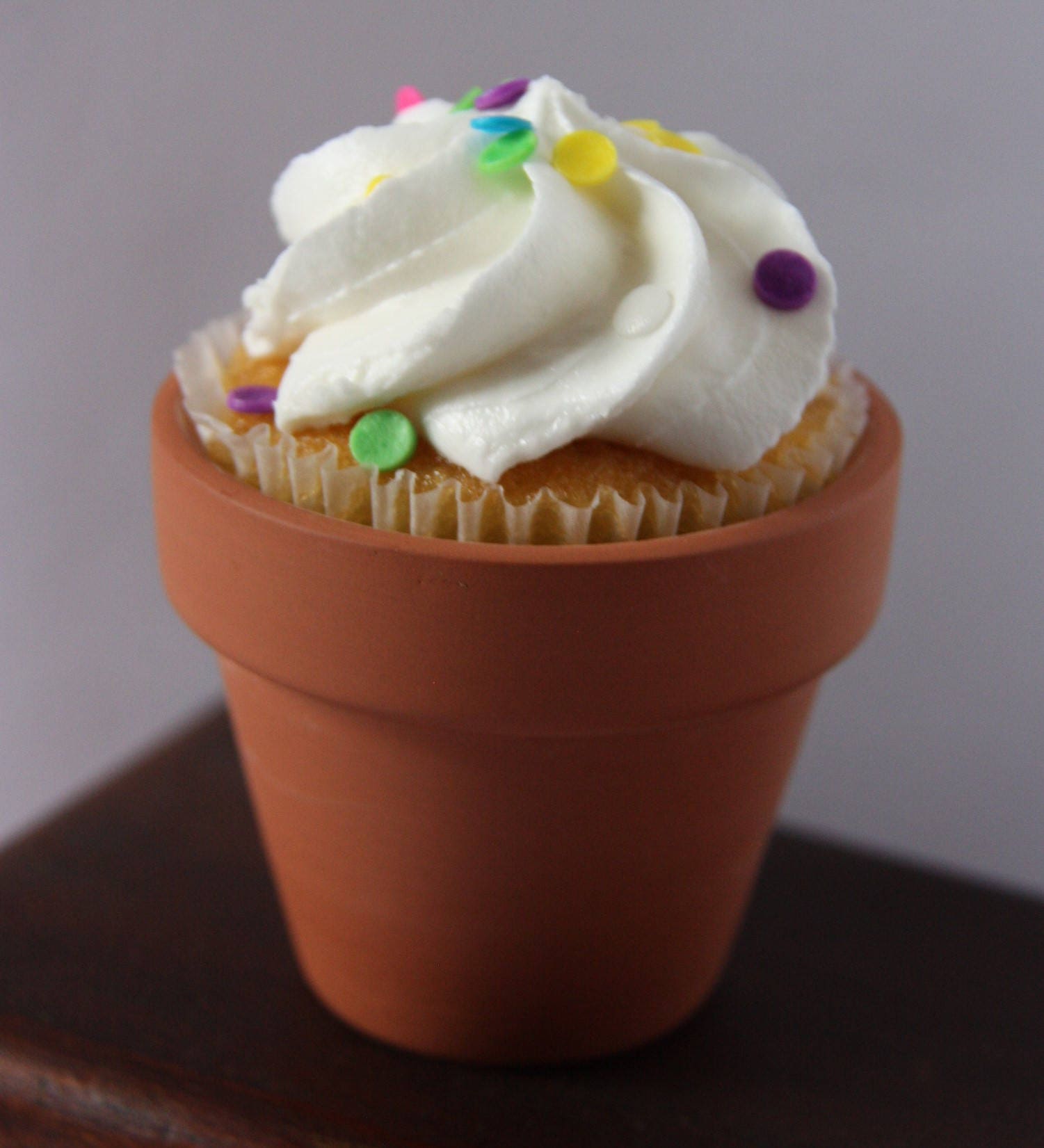 Mini Hand Painted Flower Pots Succulent Pot Flower Pot Party | Etsy