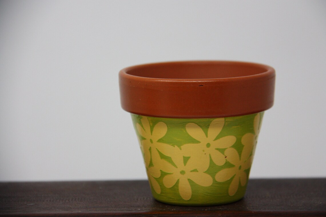 Mini Hand Painted Flower Pots Succulent Pot Flower Pot Party | Etsy