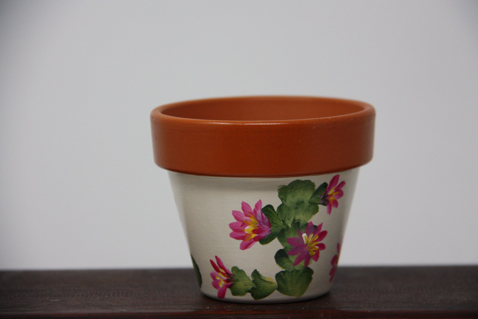 Mini Hand Painted Flower Pots, Succulent Pot, Flower Pot Party Favors ...