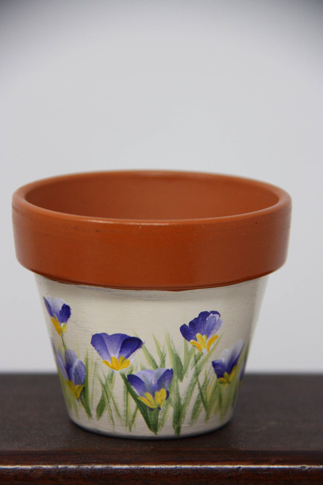 Mini Hand Painted Flower Pots, Succulent Pot, Flower Pot Party Favors ...