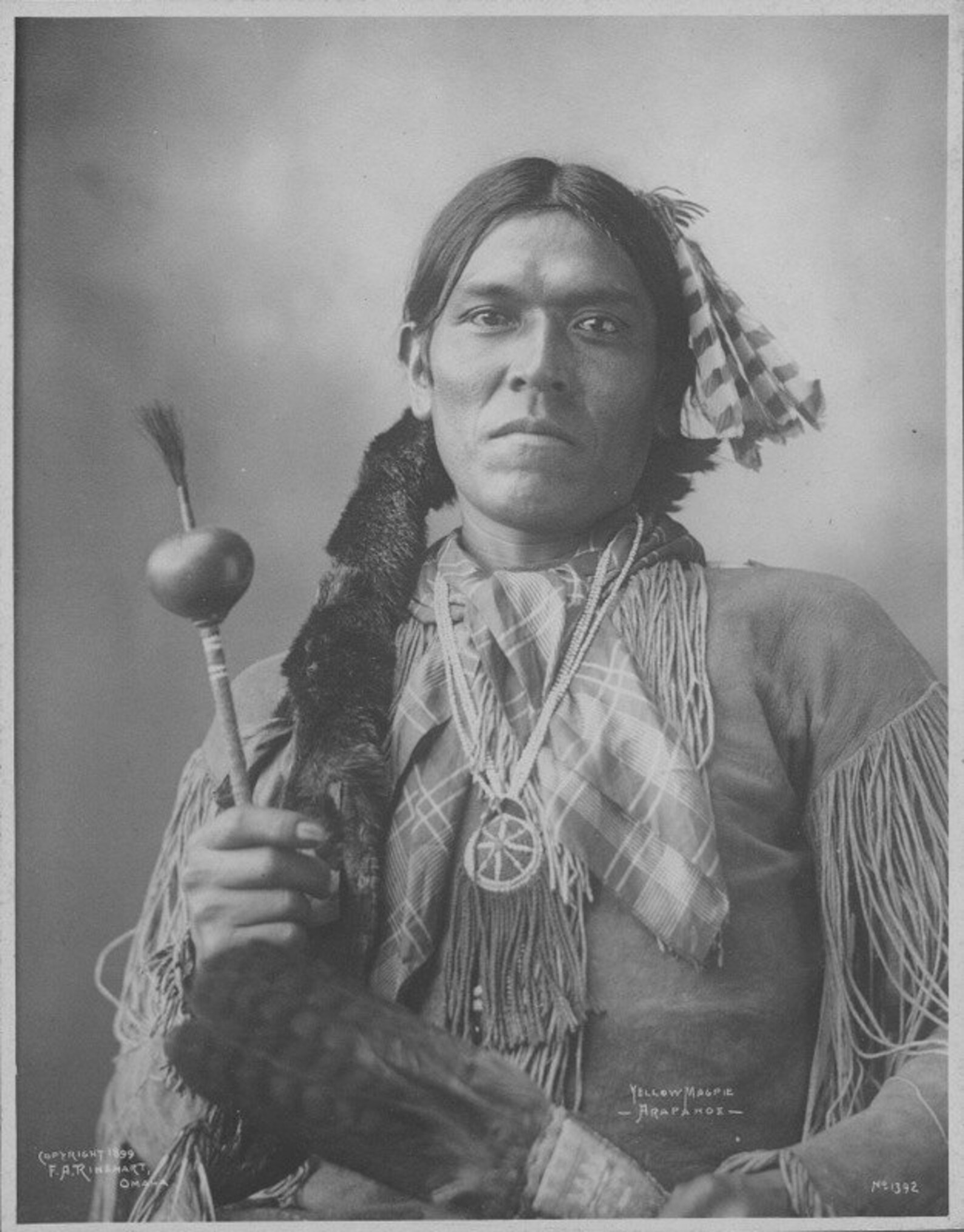 Native American Yellow Magpie Arapahoe Frank Rinehart - Etsy