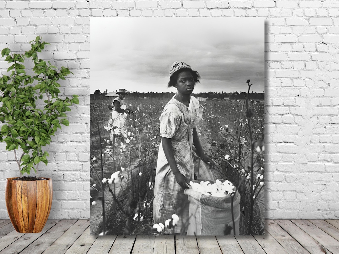 1935 Arkansas Cotton Field Print: Black American History Wall Art - Etsy