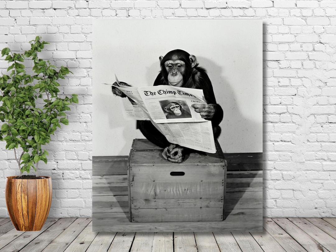 Funny Chimp Reading Newspaper Print: Retro Animal Wall Art - Etsy