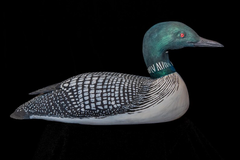 COMMON LOON Original One of a Kind Wood Carving.. Wood is Tupelo ...