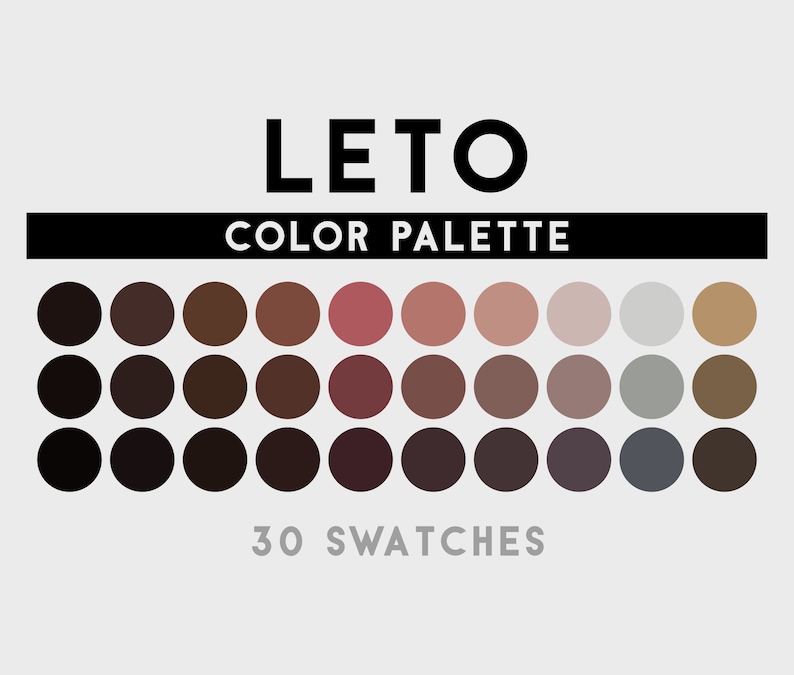 Leto Color Palette for Procreate, Adobe Photoshop, Adobe Illustrator ...