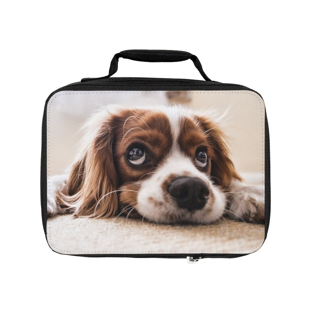 Custom Lunch Box Personalized Lunch Box Picture Lunch Box - Etsy