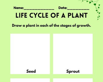 The Amazing Journey of Plants Exploring the Plant Life Cycle! - Etsy
