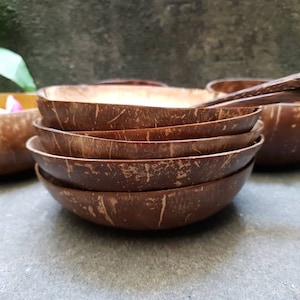 Set of 2 Organic Coconut Shell Plates, Vegan Dinner Plates, Natural ...