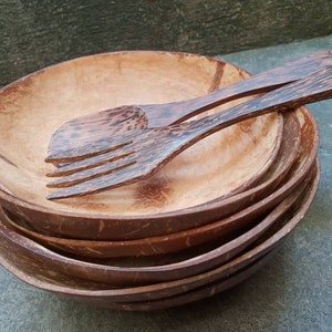 Set of 2 Organic Coconut Shell Plates, Vegan Dinner Plates, Natural ...