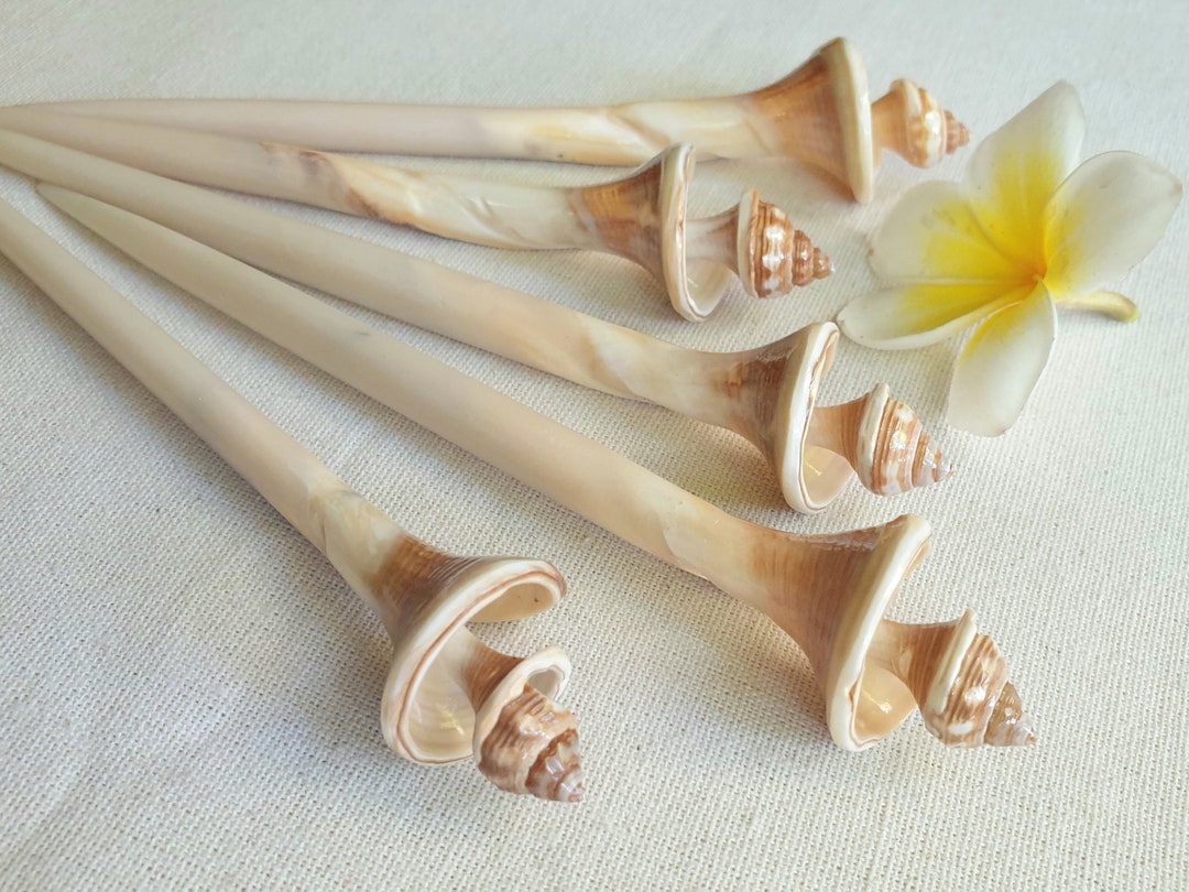 Set of 5 Shell Hair Pins, for Ocean Beach Lovers and Mermaids, a Set of ...