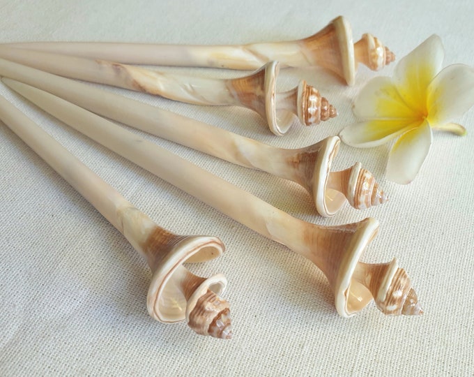 Set of 5 Shell Hair Pins, for Ocean Beach Lovers and Mermaids, a Set of ...