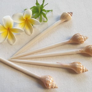 Set of 5 Shell Hair Pins, for Ocean Beach Lovers and Mermaids, a Set of ...
