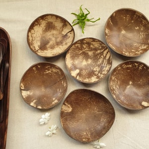 Set of 2 Organic Coconut Shell Plates, Vegan Dinner Plates, Natural ...