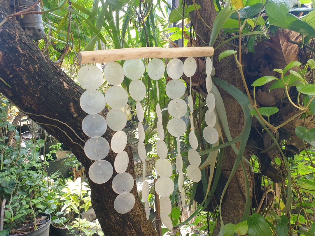 Shell Wind Chimes for Mermaids, Shell Mobiles. Natures Song, Oyster ...