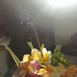 8 Sampler Packets Bali Incense Sticks Handmade Natural Incense - Etsy