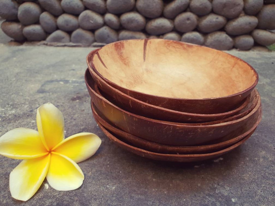Set of 2 Organic Coconut Shell Plates, Vegan Dinner Plates, Natural ...