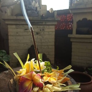 8 Sampler Packets Bali Incense Sticks Handmade Natural Incense - Etsy