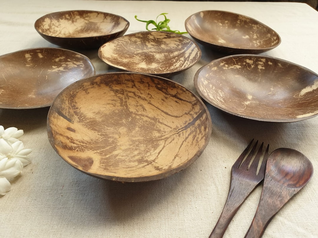 Set of 2 Organic Coconut Shell Plates Vegan Dinner Plates - Etsy