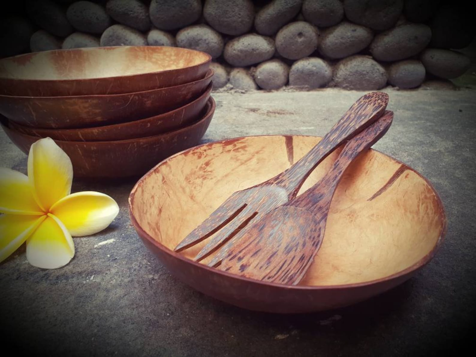 Organic coconut shell plates 25 pieces bowls vegan salad | Etsy