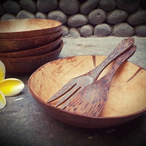 Set of 2 Organic Coconut Shell Plates, Vegan Dinner Plates, Natural ...