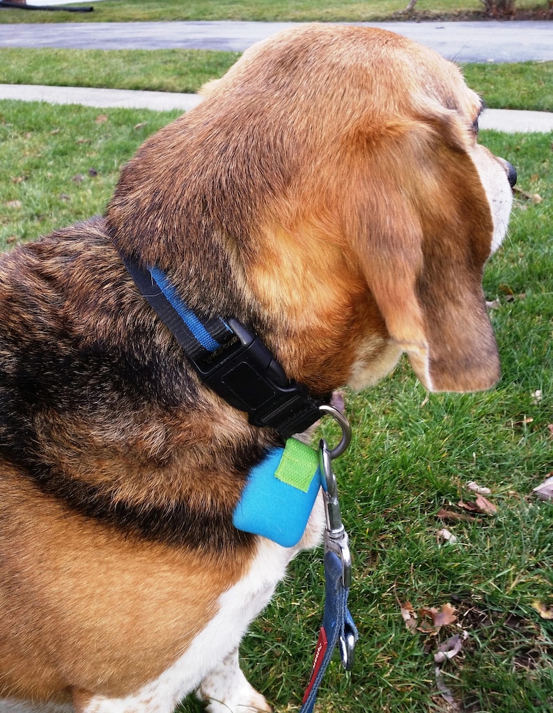 Pet Tag Silencer Dog Tag Pouch Dog Tag Holder Dog ID Tag - Etsy