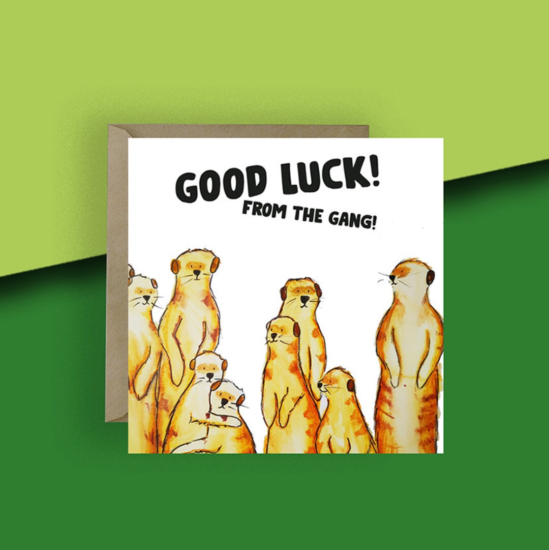 Good Luck Meerkat Greetings Card // Good Luck From the Gang Card ...