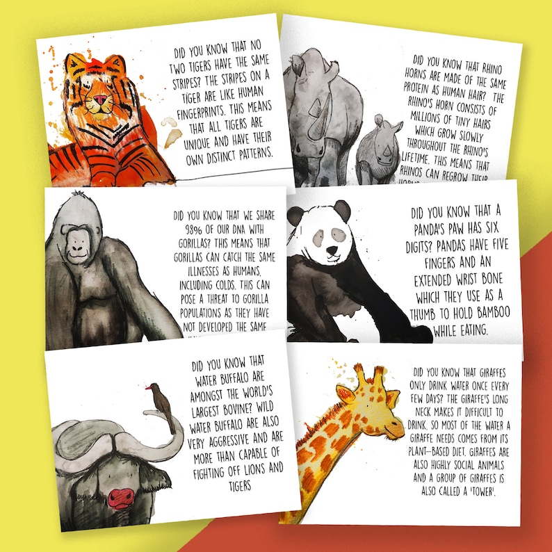Wild Animal Fact Postcard Pack // 6x Animal Illustration Postcards ...