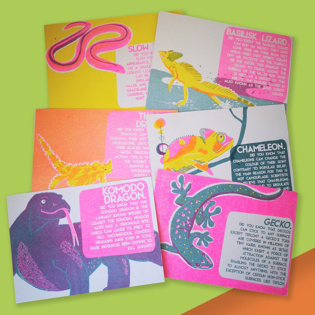 Lizard Fact Risograph Postcard Mini Print Pack // 6 X Riso Lizard Fact Postcards // Animal Fact ...