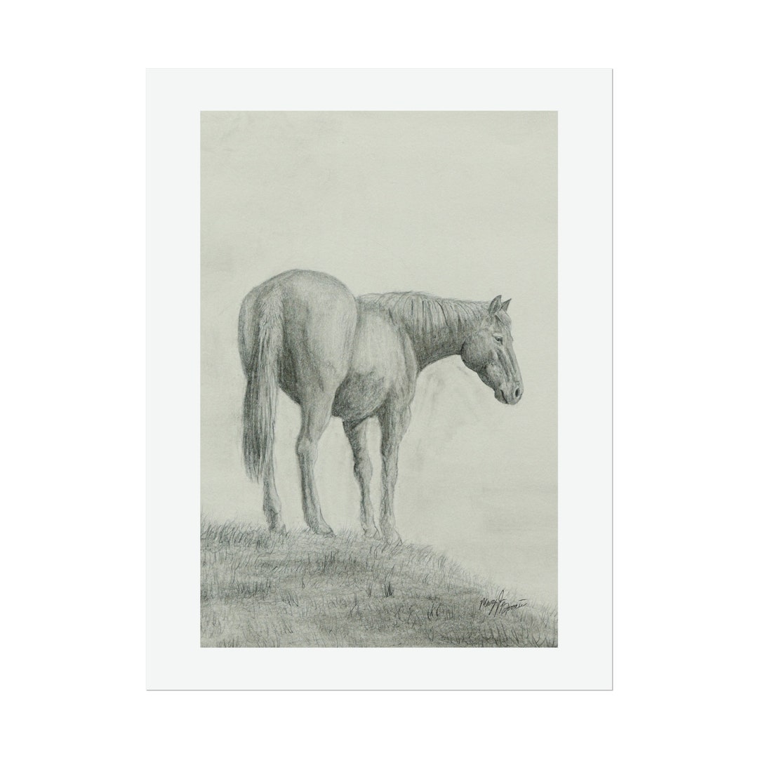 Quarter Horse Drawing Print - Etsy